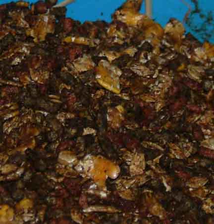 Calf starter - CalfCare.ca