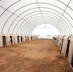 Calf Housing - CalfCare.ca