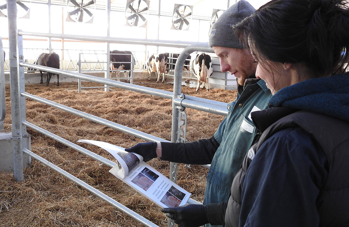 Vet-Client-Patient relationship - CalfCare.ca