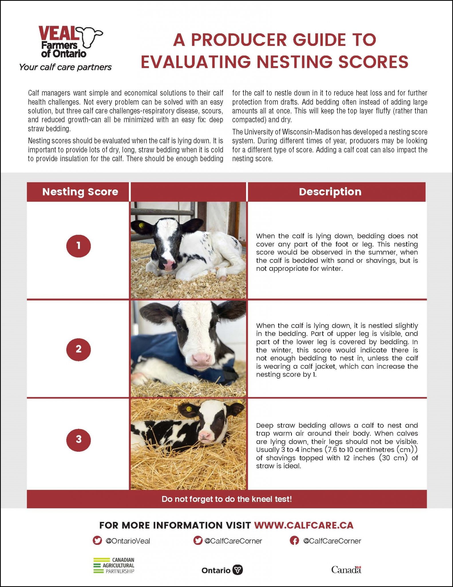A producer guide to evaluating nesting scores - CalfCare.ca